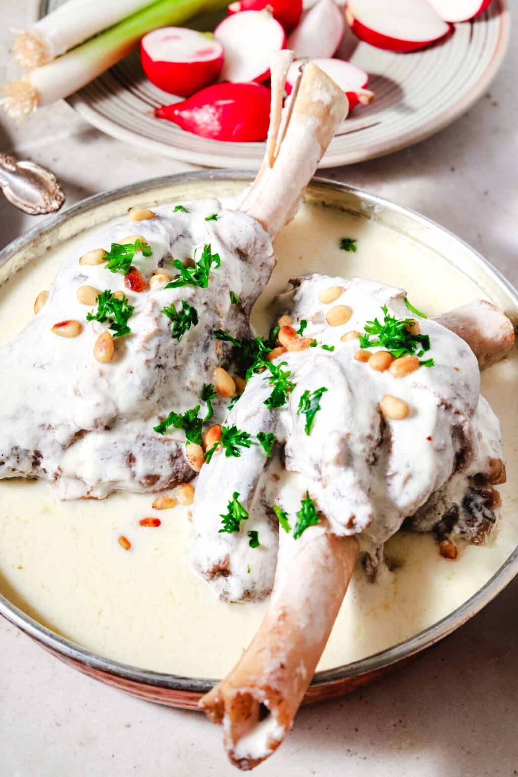 Syrian Shakriyeh (Lamb & Yogurt Stew) - Hungry Paprikas