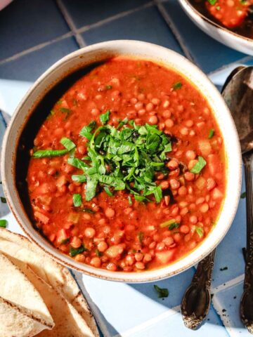 Authentic Moroccan Harira Soup - Hungry Paprikas